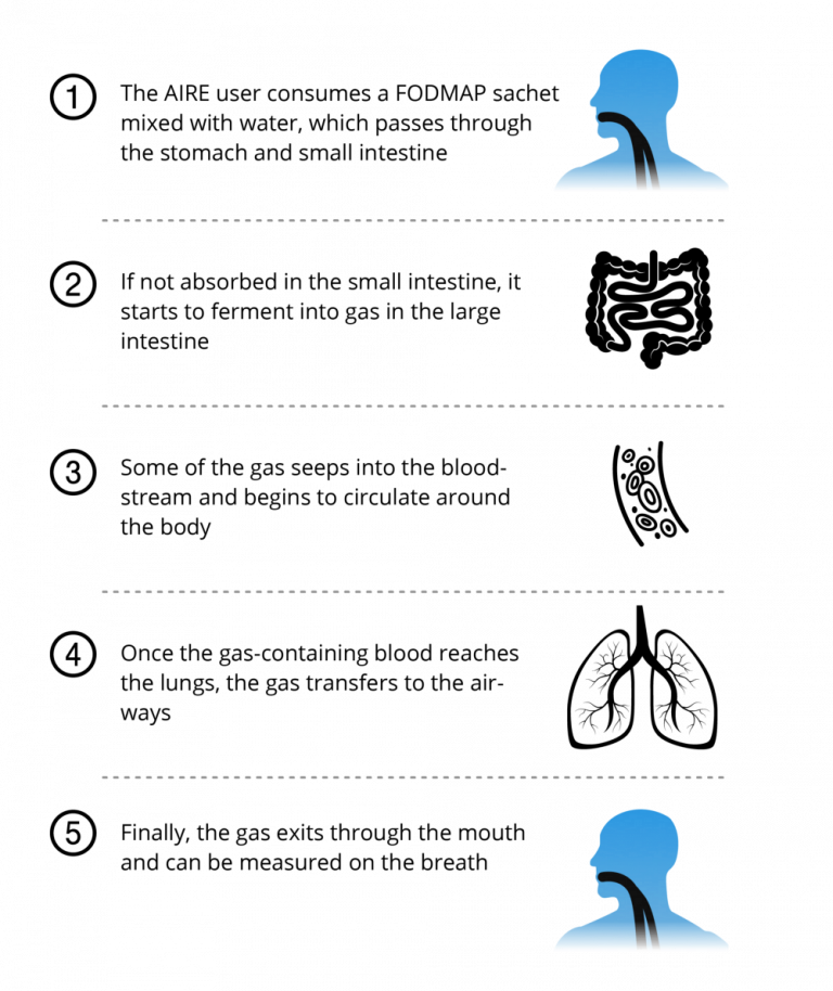 Understanding FODMAPs and hydrogen breath testing - FoodMarble Blog